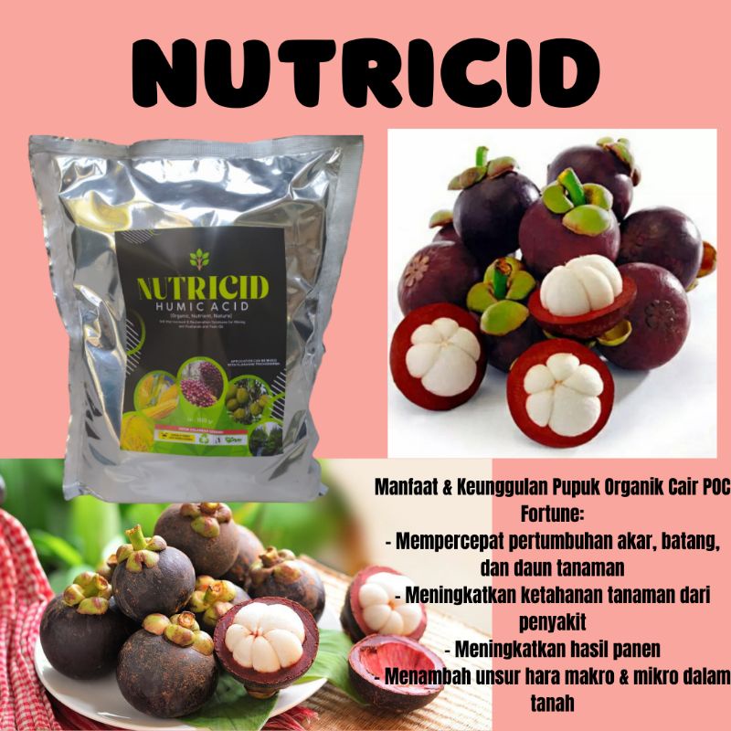 Jual PUPUK PENYUBUR AKAR MANGGIS AGAR KUAT - PUPUK NUTRICID 1KG - HUMIC ...