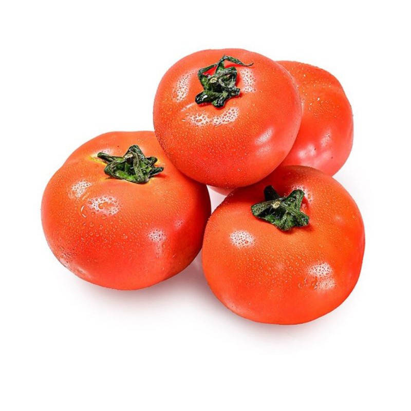 Jual TOMAT BEEF / TOMAT JUICE / TOMAT BESAR ORGANIK SEGAR | Shopee ...