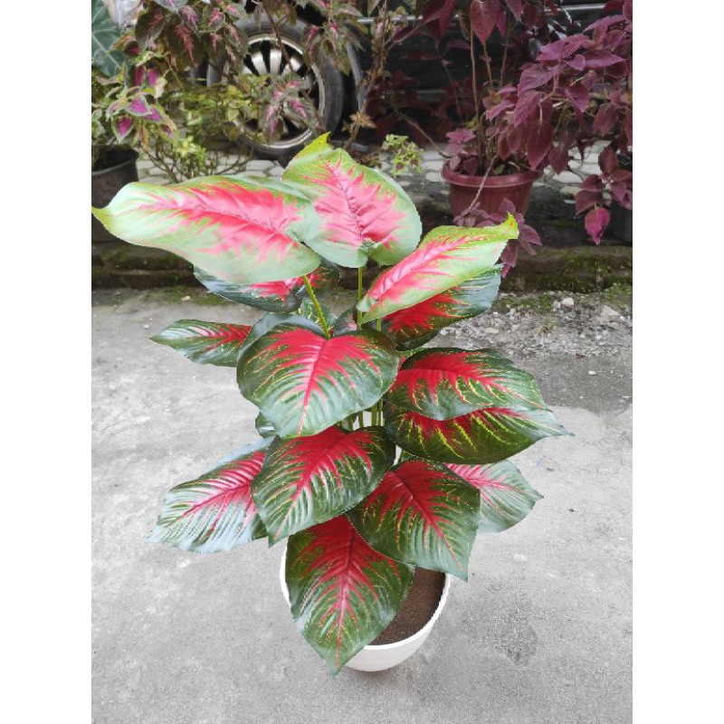 Jual tanaman dan pot / talas imitasi keladi artificial bunga keladi ...