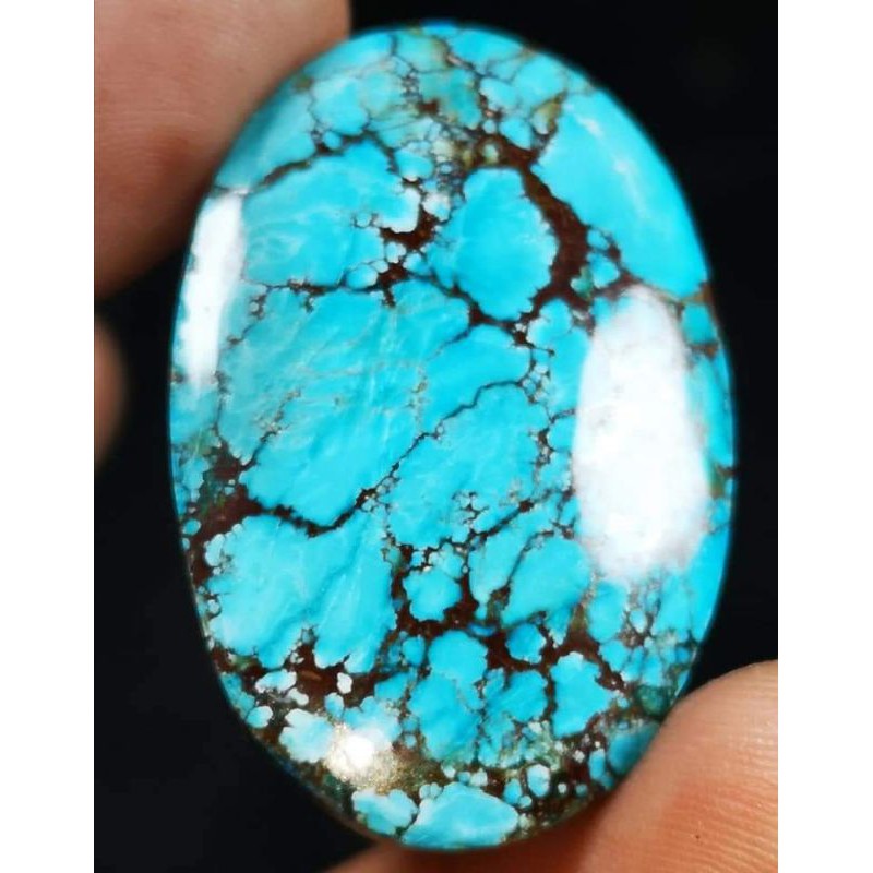 Jual PIRUS PERSIA JUMBO | Shopee Indonesia