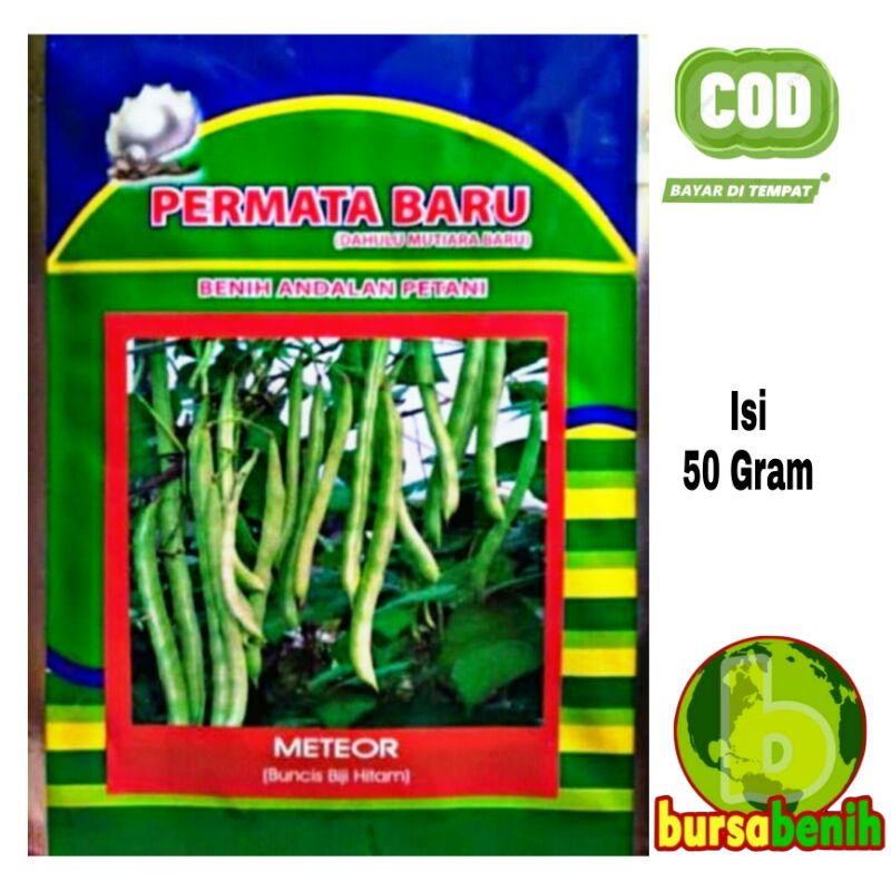 Jual Benih Bibit Buncis METEOR Isi 50 Gram - Benih Buncis Unggul ...