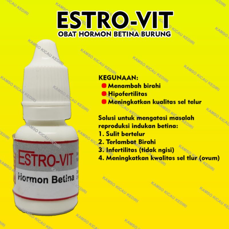Jual ESTROVIT ESTRO VIT ESTRO-VIT DRH JATMIKO OBAT HORMON BETINA BURUNG ...