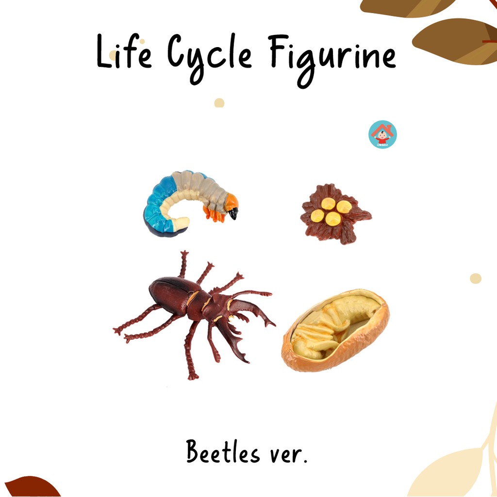 Jual Life Cycle Daur Hidup Hewan Ayam Katak Nyamuk Penyu Semut Kupu ...