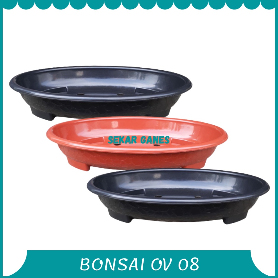 Jual Pot Bonsai Oval Ov 08 Putih Hitam Merah Bata Coklat Pot Bunga ...