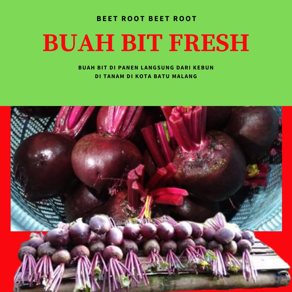 Jual Harga 1 Kg Buah Bit Organik Beet Merah Segar Beet Root FRESH ...