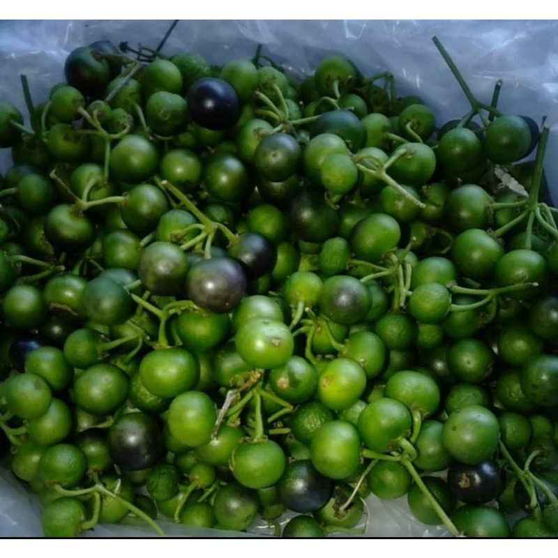 Jual SAYUR LEUNCA - 250 Gram | Shopee Indonesia