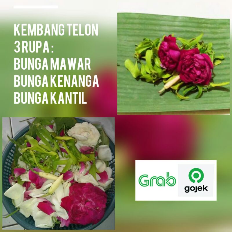 Jual kembang telon 3 rupa mawar-kenanga-kantil | Shopee Indonesia