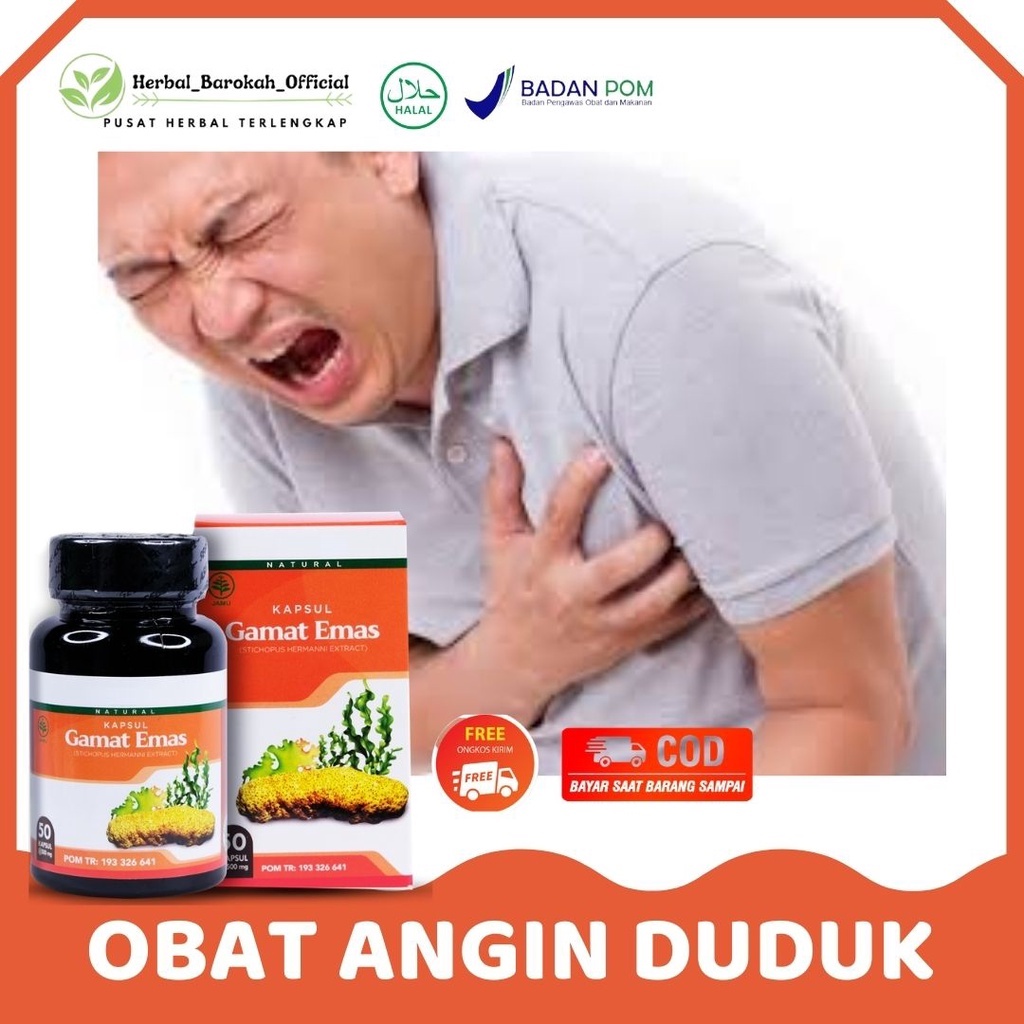 Jual Obat Angin Duduk Herbal - Nyeri Dada - Dada Tertekan - Sesak ...