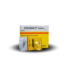 Jual Sanbe Farma / COLIBACT BOLUS 1 Box - Obat Antibakteri Hewan Ternak ...