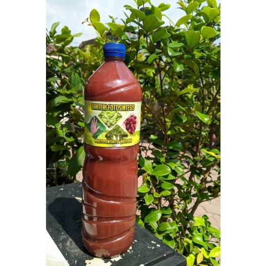 Jual Pupuk Organik PSB / Photosyntetic Bacteria / Bakteri Fotosintesis ...