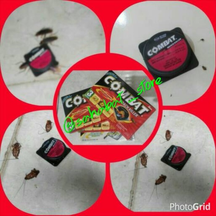 Jual SUPER EXLUSIVE COMBAT ROACH KILLER (PEMBASMI KECOA) . | Shopee ...