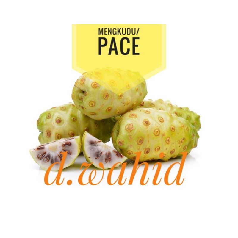 Jual Buah Mengkudu / Buah Pace | Shopee Indonesia