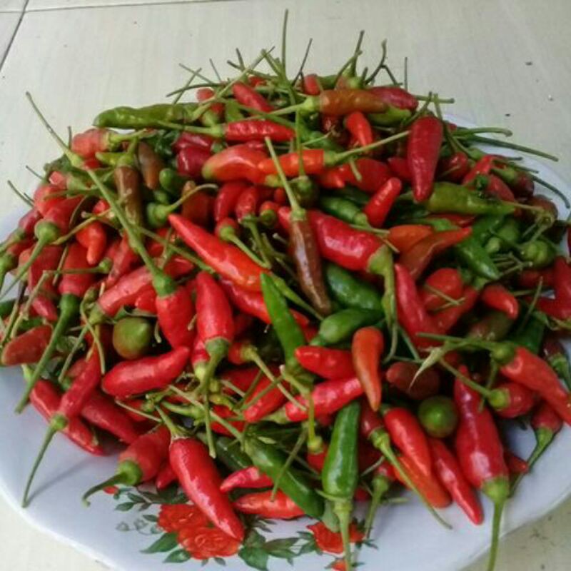 Jual Cabai kampung fresh segar 200gram | Shopee Indonesia