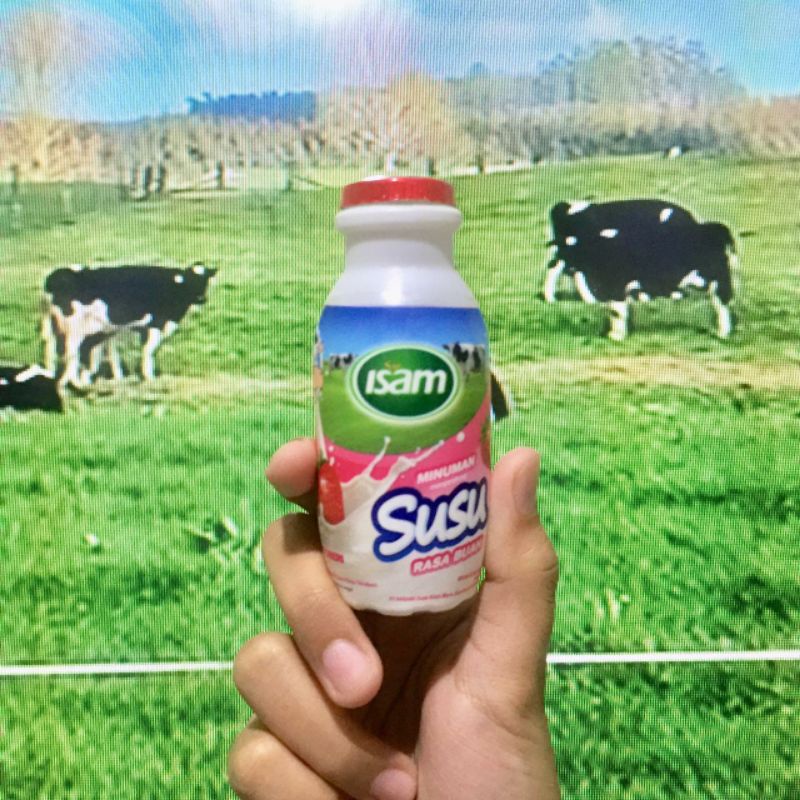 Jual ISAM SUSU RASA STROBERI (100% Original) 65ml | Shopee Indonesia
