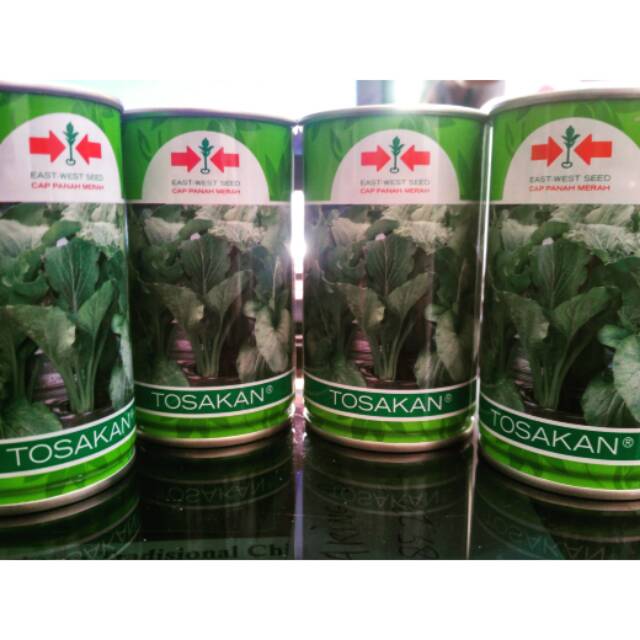 Jual Benih/Bibit sayuran/sayur mayur - Benih Sawi Manis/Sawi Mie - Sawi ...