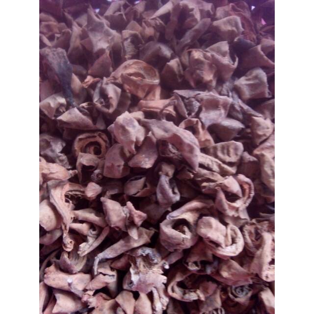 Jual KULIT BIJI PALA / CANGKANG PALA KERING JEMUR MATAHARI 1 kg ...