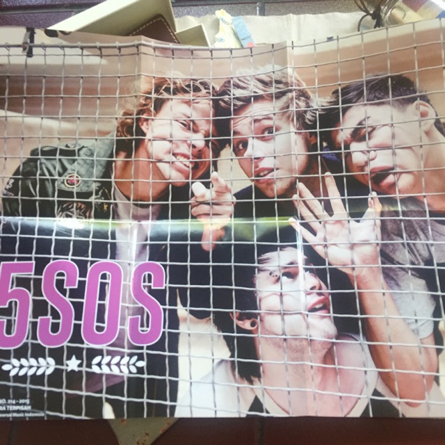 Jual Poster [SOLD OUT] | Shopee Indonesia