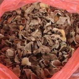 Jual Toraja Sayur Pangi Kering Super 1kg | Shopee Indonesia