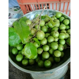 Jual Buah Rukem Terlengkap & Harga Terbaru Juni 2024 | Shopee Indonesia