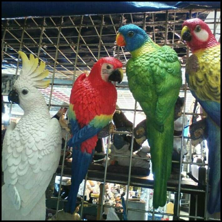 Jual Patung Burung Dinding Kakatua Dan Parrot | Shopee Indonesia