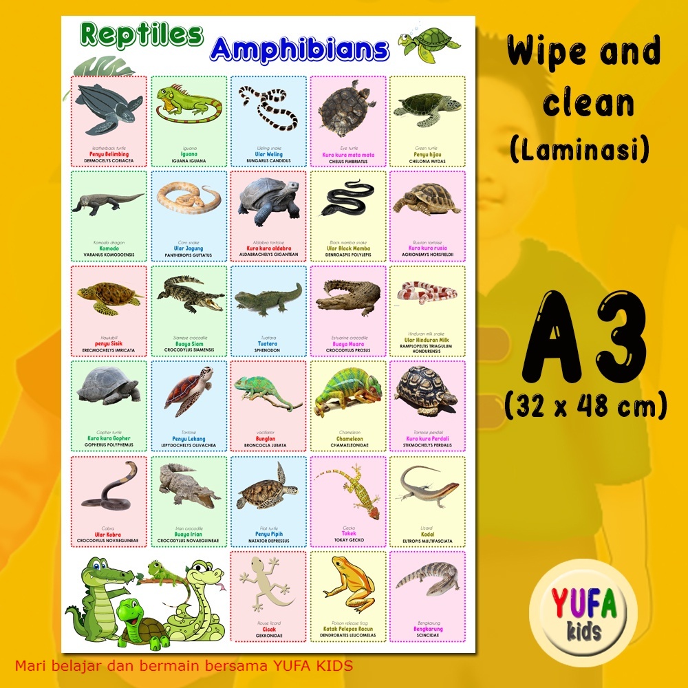 Jual 119 poster hewan reptil- Poster Edukasi Anak - Poster belajar anak ...