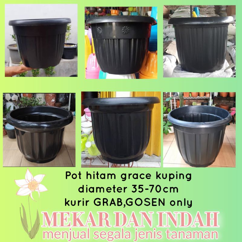 Jual Pot hitam grace/gloria diameter 35cm-70cm /pot tanaman | Shopee ...