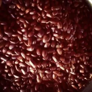 Jual biji trembesi Harga Terbaik & Termurah Mei 2024 | Shopee Indonesia