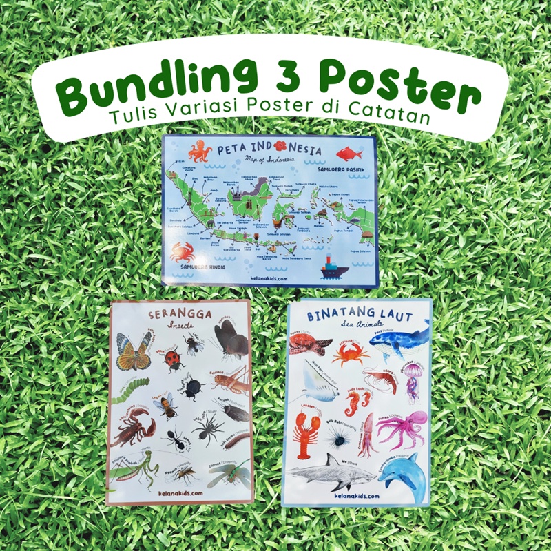 Jual Bundling Poster Edukasi A3 Wipe Clean Binatang, Laut, Buah, Bagian ...