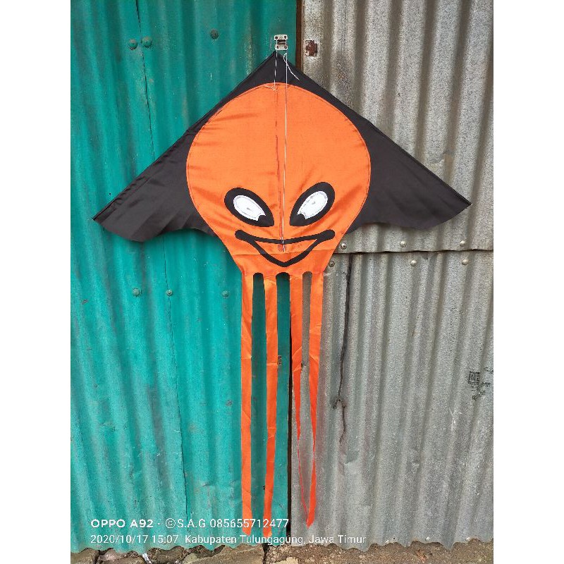Jual layangan hias/layangan kain/layangan ikan | Shopee Indonesia