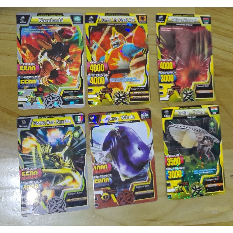 Jual Kartu Animal Kaiser | Friend Card | Shopee Indonesia