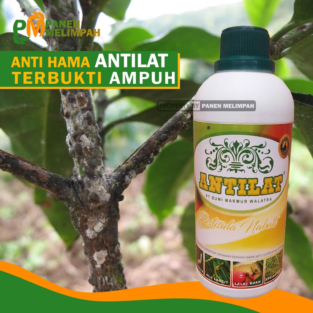 Jual Pupuk Pestisida Organik Cair Obat Anti Hama Pembasmi Hama Tanaman Racun Kutu Putih Antilat ...