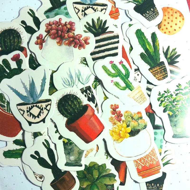 Jual [20 pcs] Sticker Aesthetic TANAMAN AESTHETIC RANDOM Lucu Murah ...