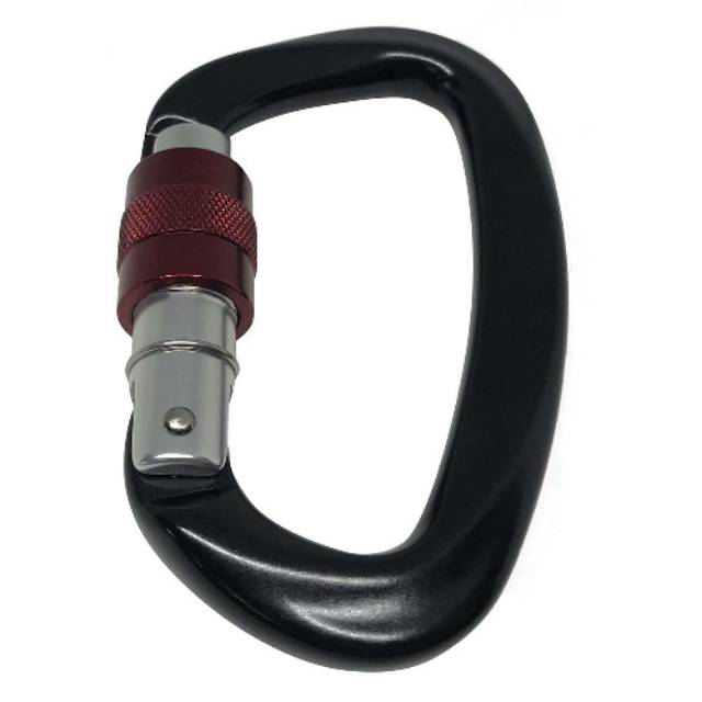 Jual Professional Climbing Karabiner Aluminium Quickdraw D Shape ...