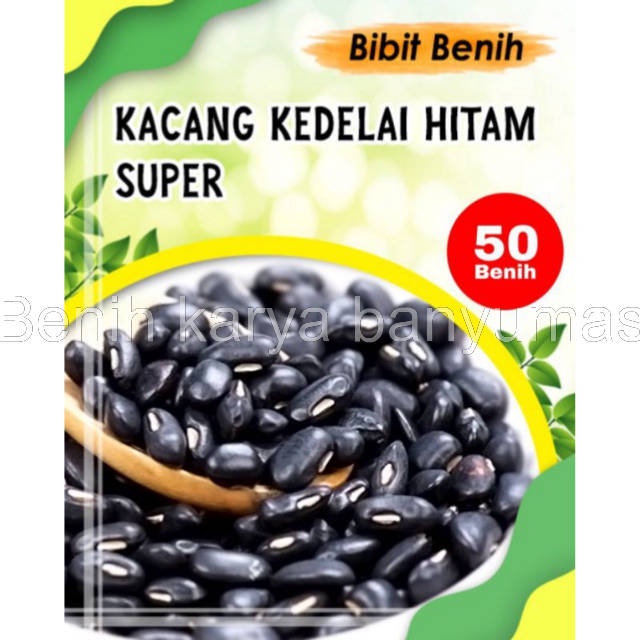Jual Benih Kedelai Edename Biji Hitam super 50 biji / bibit kedelai ...