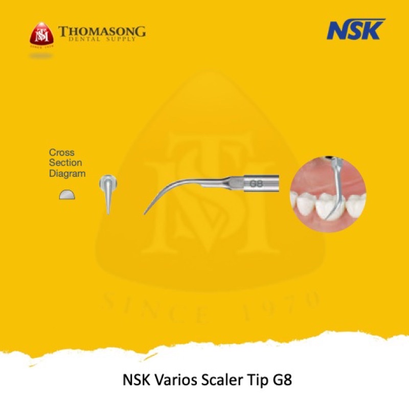 Jual NSK Varios Scaler Tip G8 | Shopee Indonesia