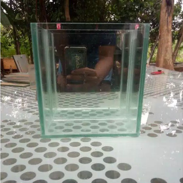 Jual soliterselvi ikan cupang tunggal belakang cermin, /akurium kaca ...