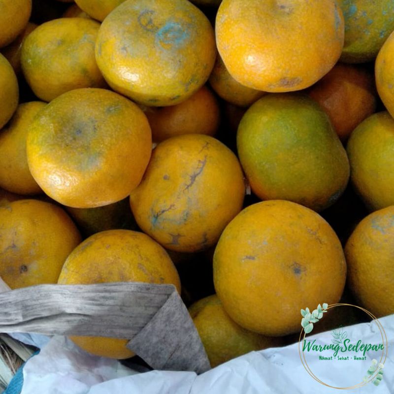 Jual Jeruk Medan Jumbo Super isi 5 buah per kg Jeruk Medan Super 1kg ...