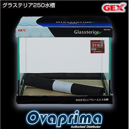 Jual Akuarium GEX Glassterior 250 Japanese High Quality Aquarium | Shopee Indonesia