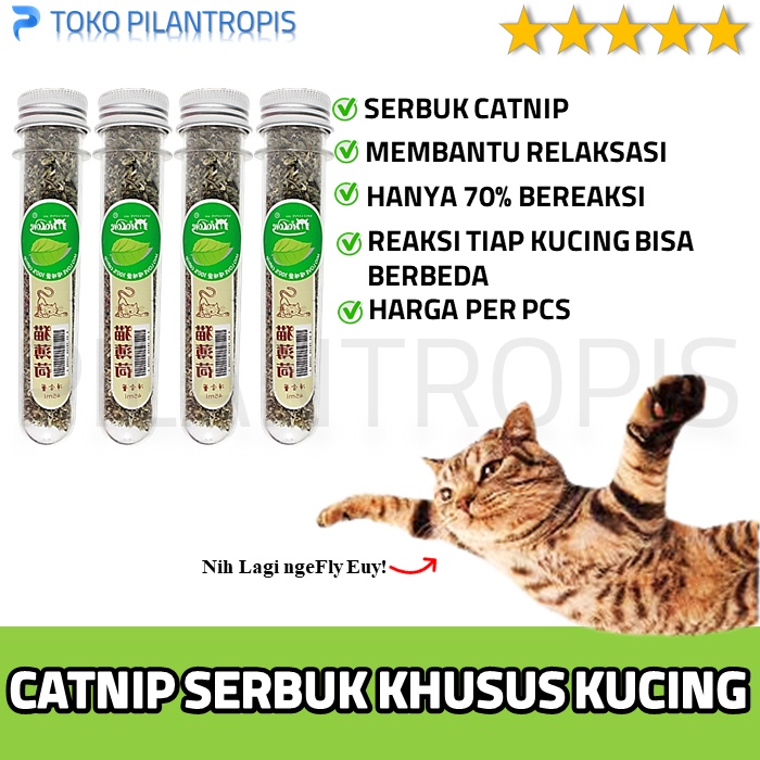 Jual CATMINT KUCING SERBUK CATNIP POWDER KUCING CAT MINT CAT NIP ... Jual CATMINT KUCING SERBUK CATNIP POWDER KUCING CAT MINT CAT NIP ...