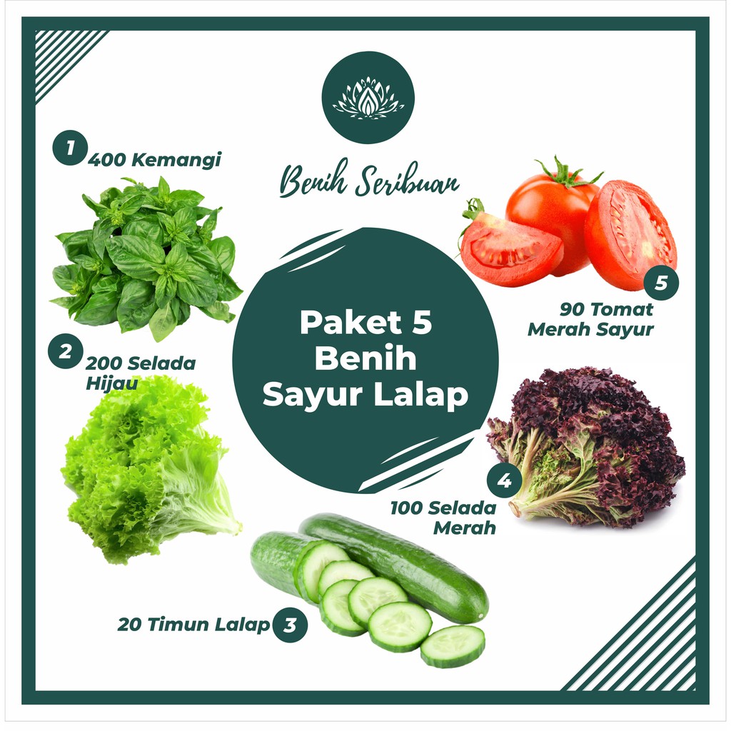 Jual Bibit Sayuran Paket 5 Macam Benih Sayur Lalap : Kemangi Selada ...