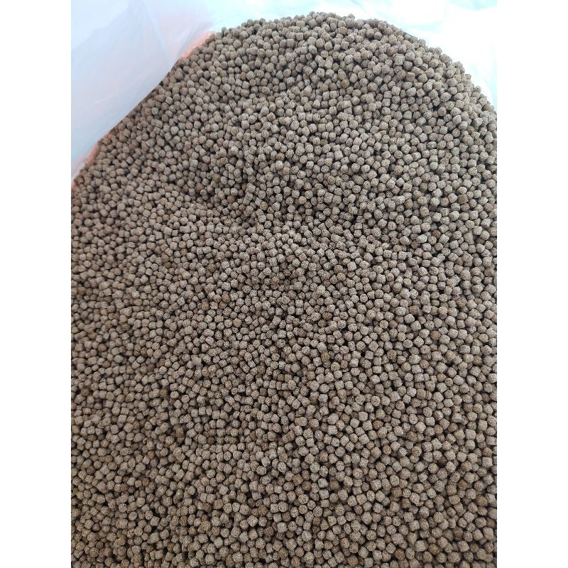 Jual PAKAN IKAN 3 mm pelet ikan apung | Shopee Indonesia