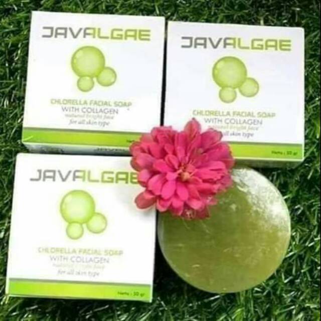 Jual Javalgae nasa | Shopee Indonesia