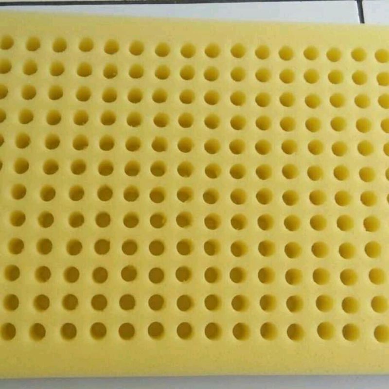 Jual busa telur walet kuning | Shopee Indonesia