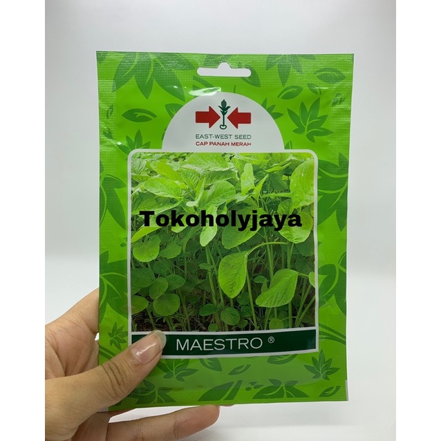 Jual Benih bayam MAESTRO 500 gram bayam hijau maestro dari panah merah ...