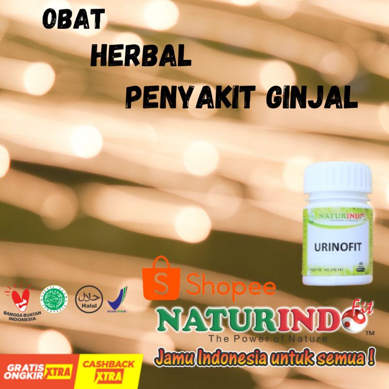 Jual OBAT HERBAL BATU GINJAL GAGAL GINJAL KENCING BATU INFEKSI SALURAN KEMIH NATURINDO FIT HALAL ...