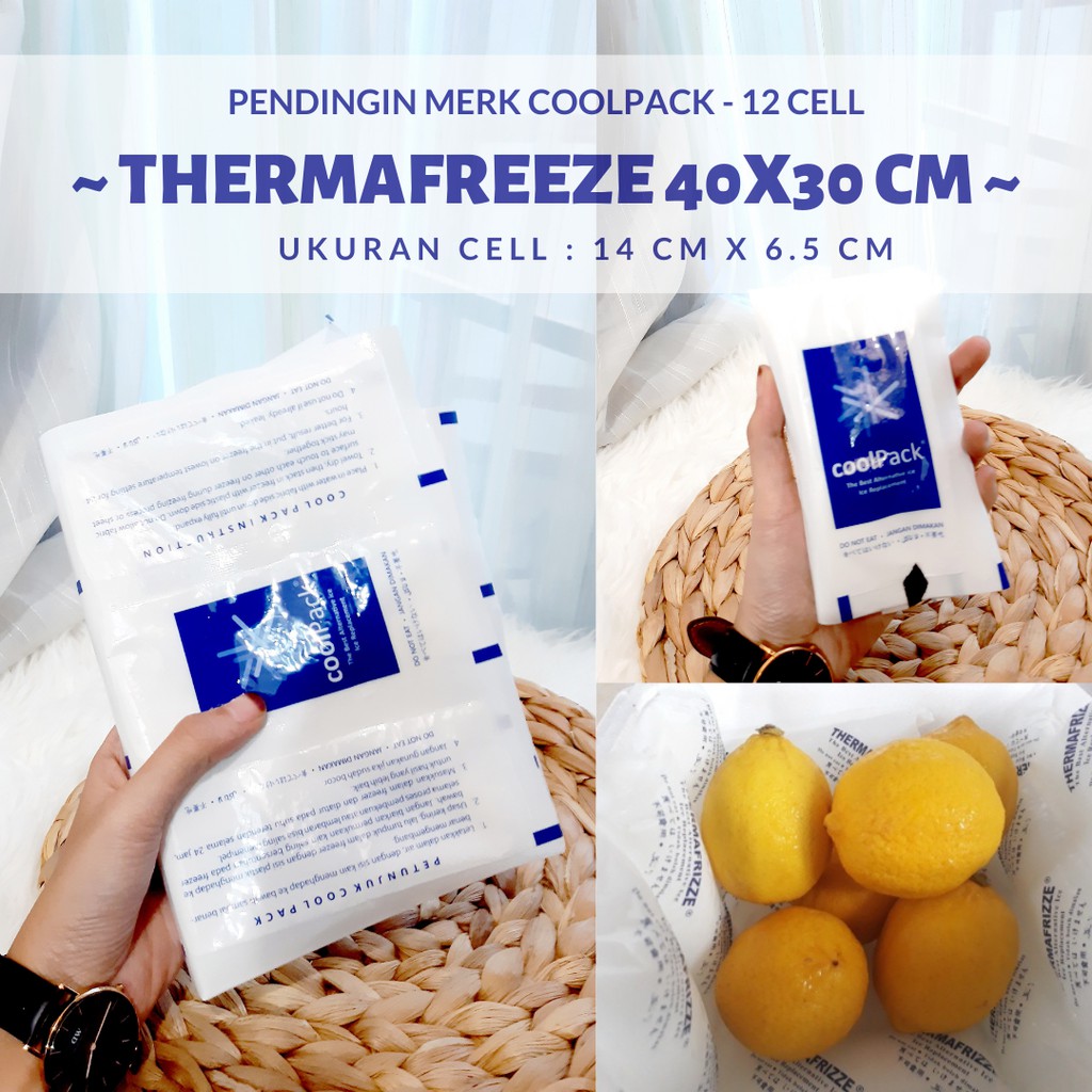 Jual Thermafreeze ICE - Pendingin Frozen Food - Thermafreeze Tahan ...