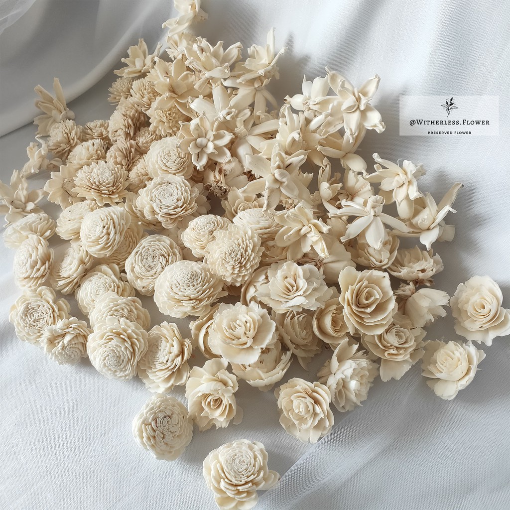 Jual 5 PCS Bunga Sola Wood Flowers 4 CM / Bunga Kayu | Shopee Indonesia