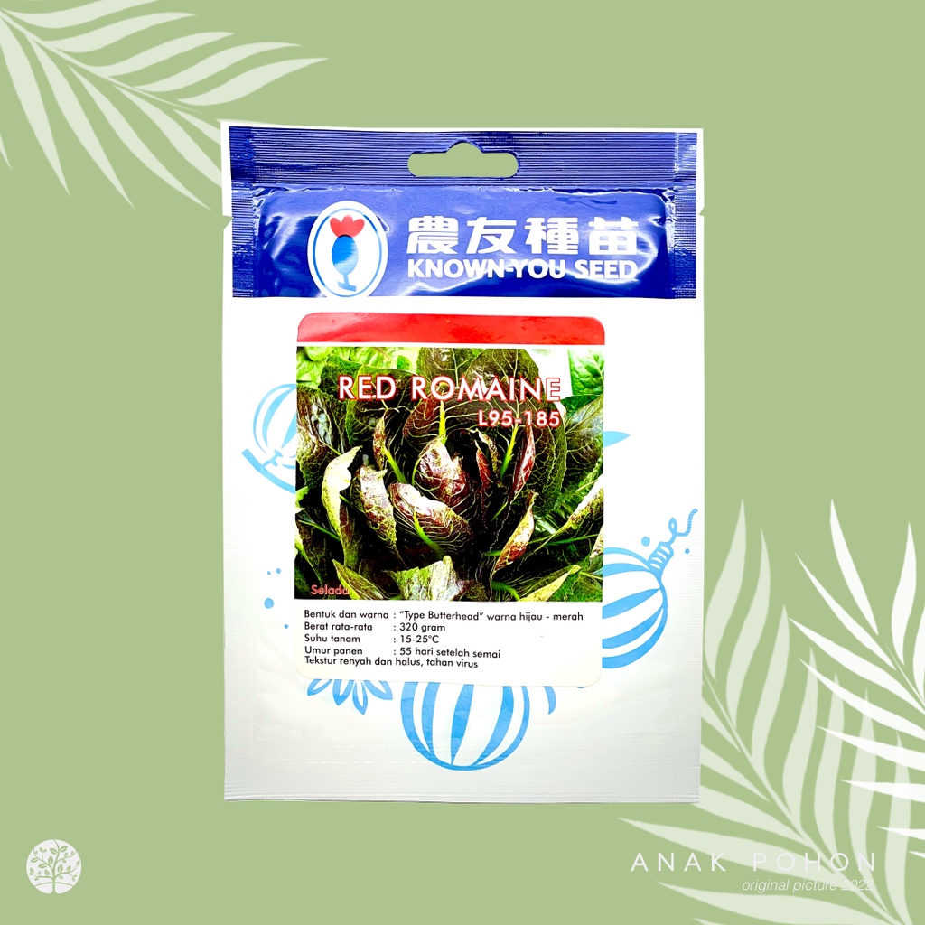 Jual (1 PACK) Benih Lettuce Red Romaine Selada Romain Merah Seeds - Known You Seed KYS - 10 GRAM ...