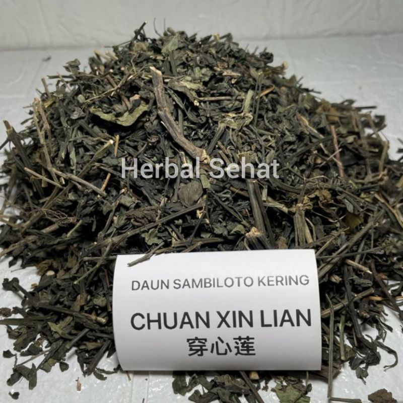 Jual Sambiloto Kering 100 Gram Chuan Xin Lian 穿心莲 | Shopee Indonesia