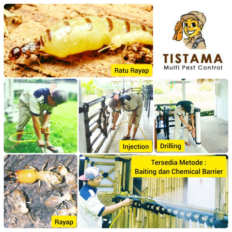 Jual Basmi Rayap Rumah, Gudang, Kantor, Gedung Berpengalaman, Harga ...